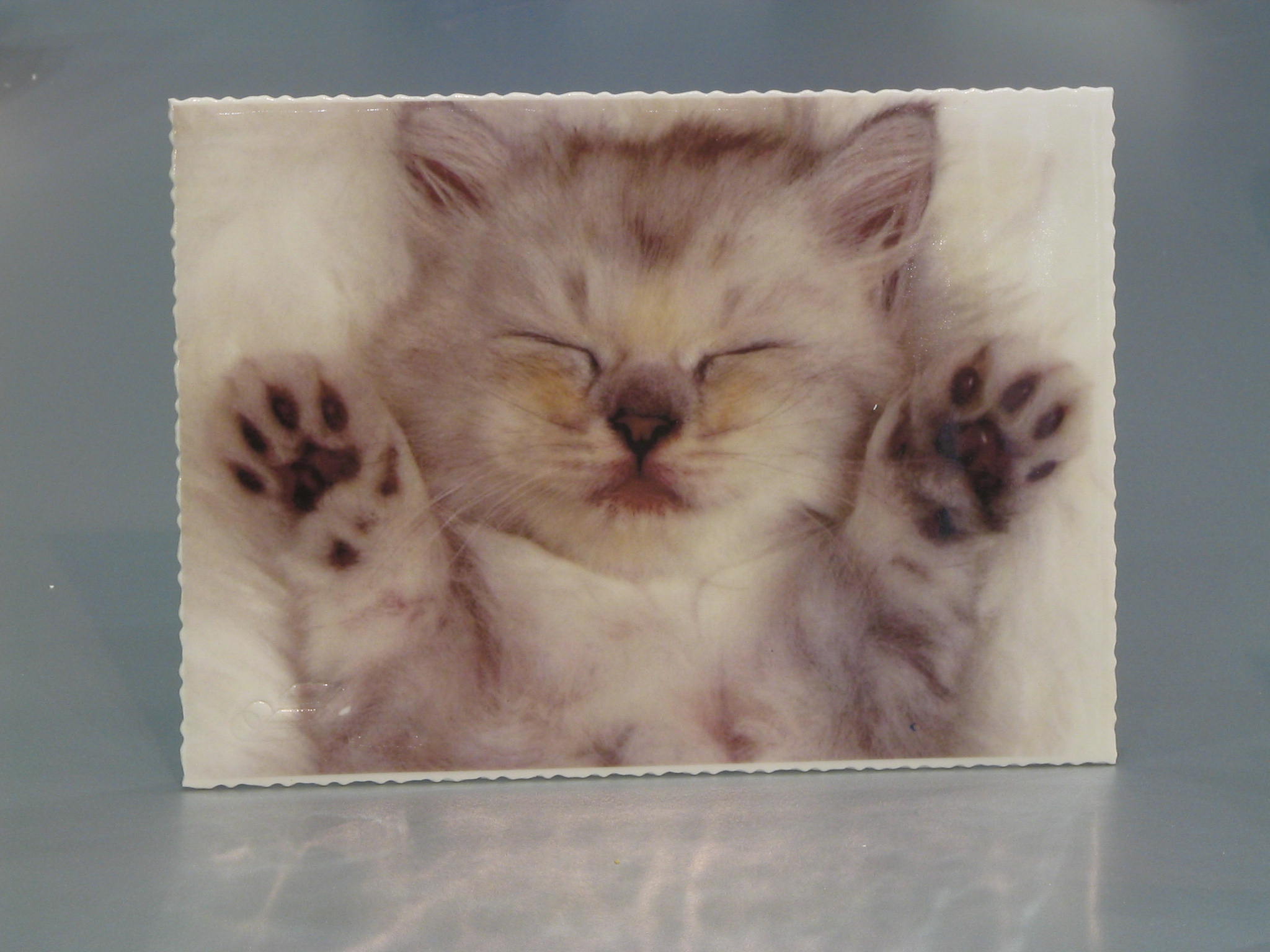 Photo On Porcelain Photo On Porcelain